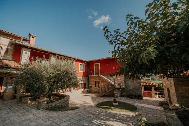 Marezige: Olive Grove and Oil Tour with Tastings and Drinks | GetYourGuide