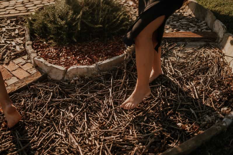 Marezige: Olive Grove and Oil Tour with Tastings and Drinks | GetYourGuide