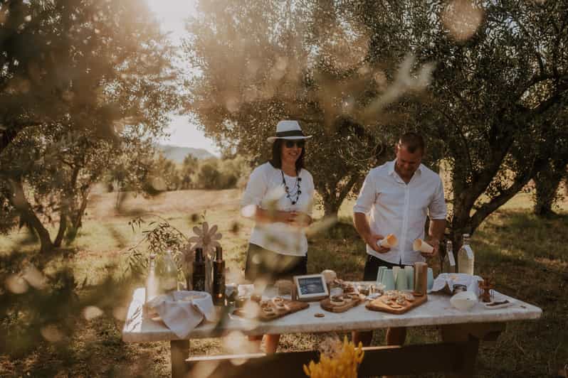 Marezige: Olive Grove and Oil Tour with Tastings and Drinks | GetYourGuide