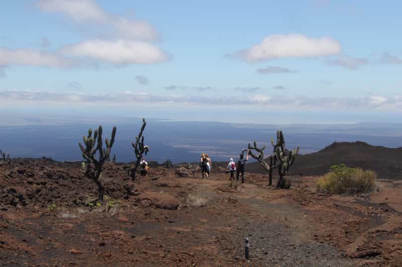 Galapagos Islands: Hike to the Sierra Negra Volcano | GetYourGuide