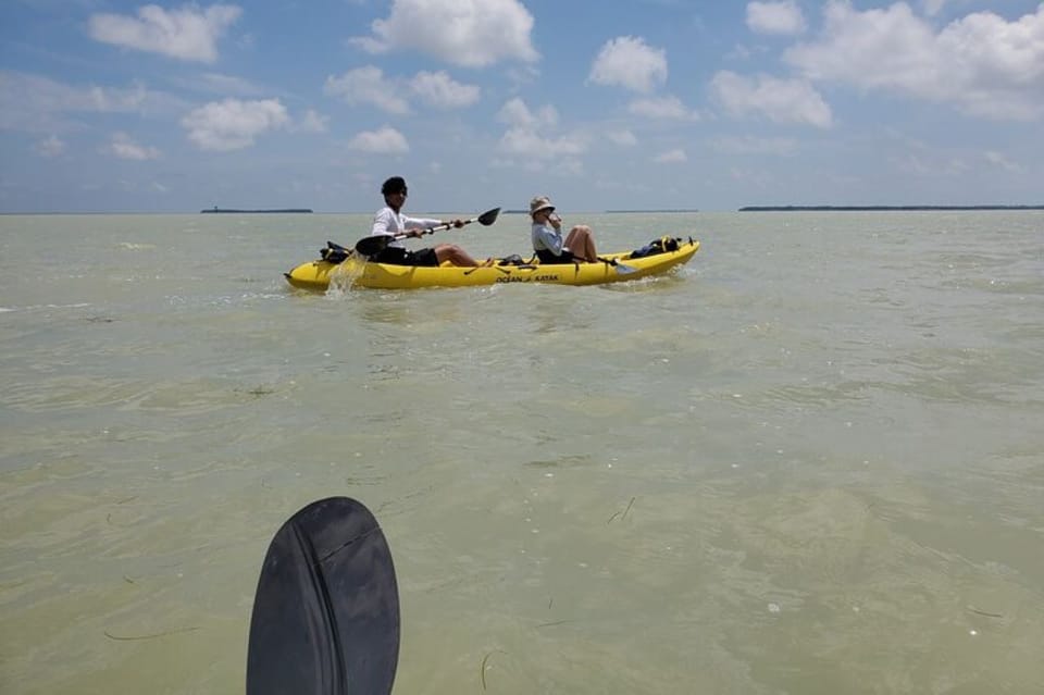 Miami: Everglades National Park Hiking and Kayaking Day Trip | GetYourGuide