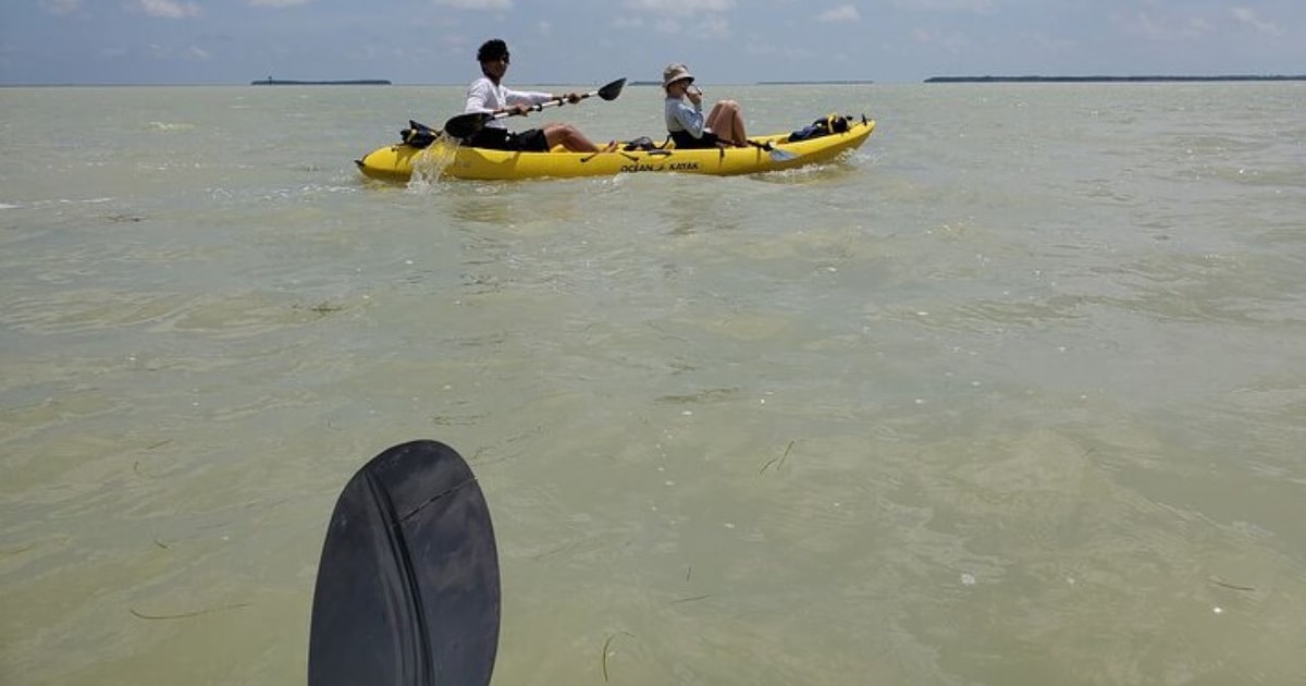 Miami: Everglades National Park Hiking and Kayaking Day Trip | GetYourGuide