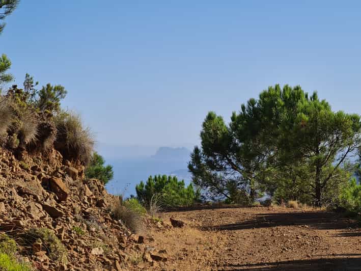 Estepona: Sierra Bermeja Private Guided Mountain Biking Tour | GetYourGuide