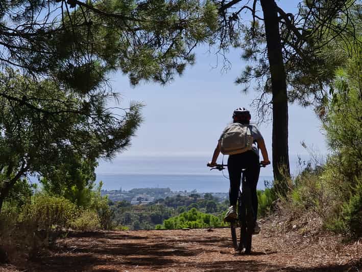 Estepona: Sierra Bermeja Private Guided Mountain Biking Tour | GetYourGuide