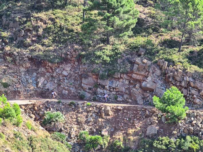 Estepona: Sierra Bermeja Private Guided Mountain Biking Tour | GetYourGuide
