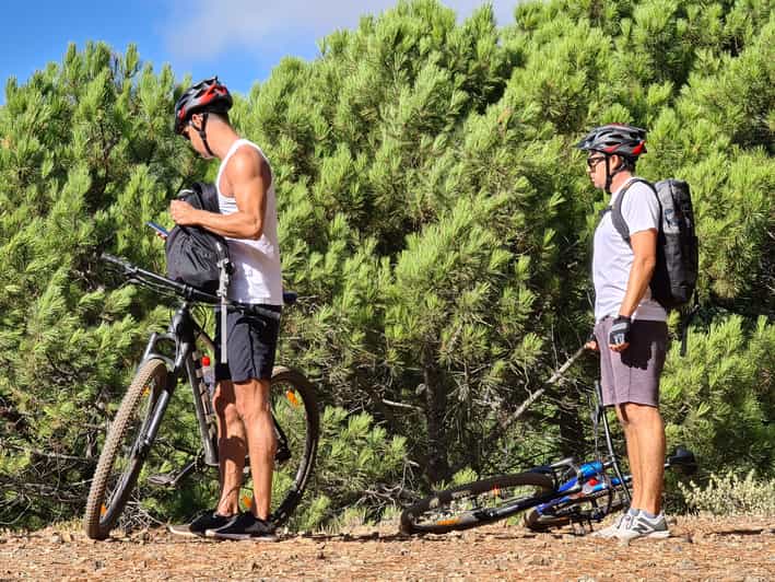 Estepona: Sierra Bermeja Private Guided Mountain Biking Tour | GetYourGuide