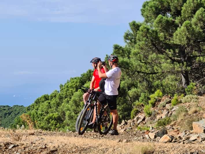 Estepona: Sierra Bermeja Private Guided Mountain Biking Tour | GetYourGuide