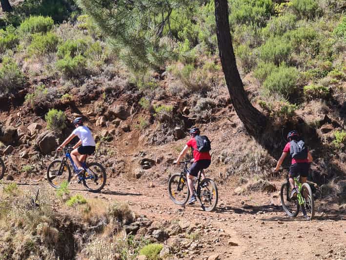 Estepona: Sierra Bermeja Private Guided Mountain Biking Tour | GetYourGuide