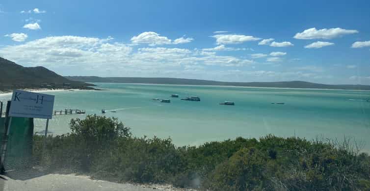 West Coast: Clicking sounds & stunning lagoon (private tour) | GetYourGuide