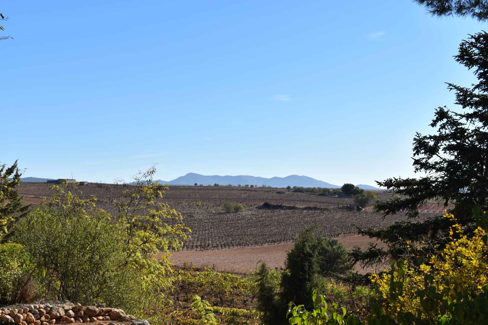 Valencia: Utiel-Requena Cave & Winery Day Trip with Tasting | Guide to ...