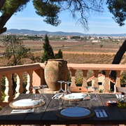 Valencia: Utiel-Requena Cave & Winery Day Trip with Tasting | GetYourGuide