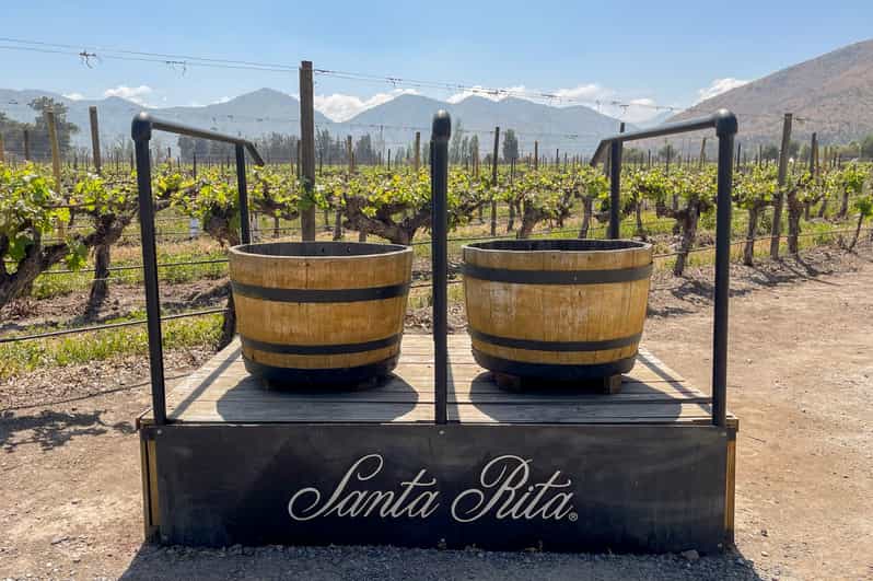 Santa Rita Classic Vineyard Tour | GetYourGuide