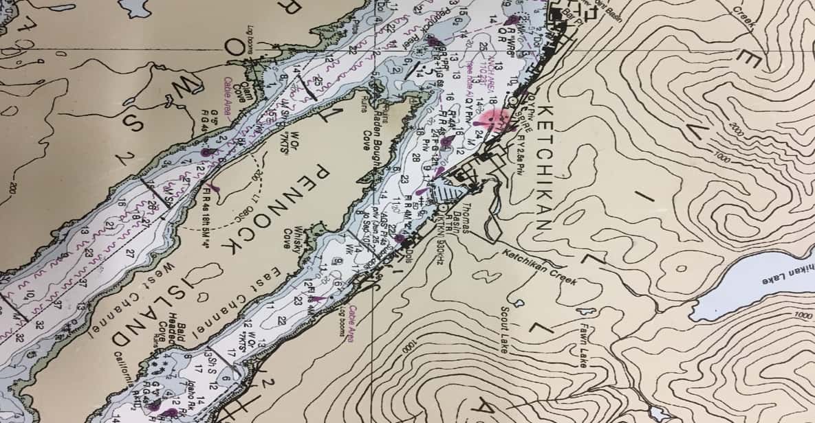 Ketchikan: Vahşi Deniz Yaşamı ve Balina İzleme Tekne Turu | GetYourGuide