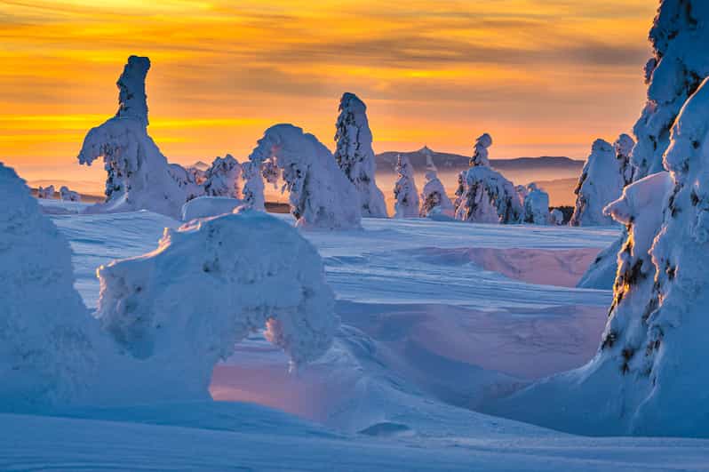 From Prague: Guided Snowshoe Tour with Mountain Views | GetYourGuide