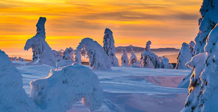 From Prague: Guided Snowshoe Tour with Mountain Views | GetYourGuide