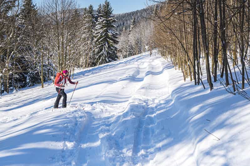 From Prague: Guided Snowshoe Tour with Mountain Views | GetYourGuide