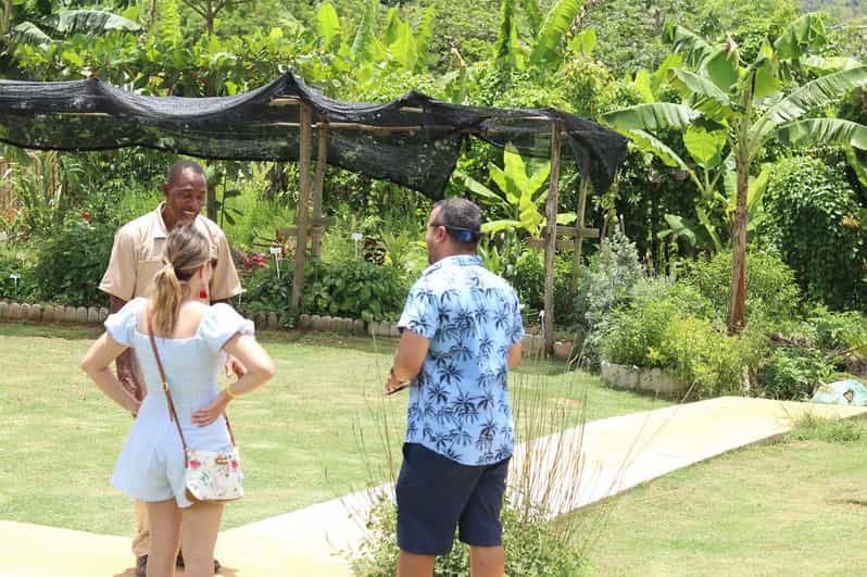 Taste of Jamaica Farm & Food Tour | GetYourGuide