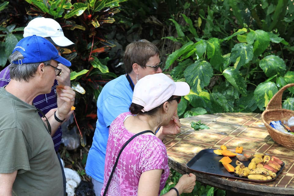 Taste of Jamaica Farm & Food Tour | GetYourGuide