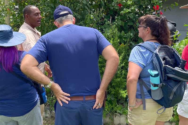 Taste of Jamaica Farm & Food Tour | GetYourGuide