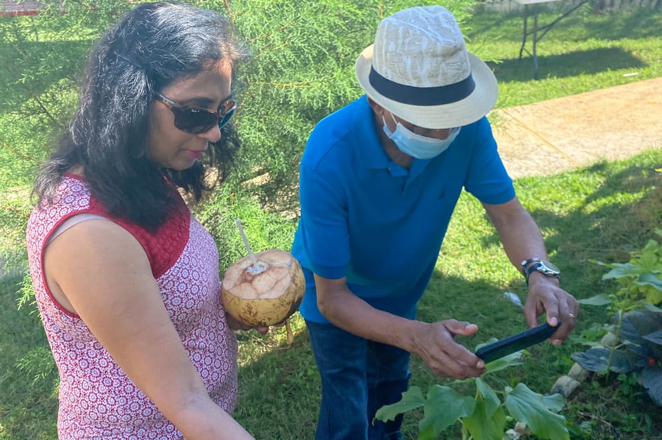 Taste of Jamaica Farm & Food Tour | GetYourGuide