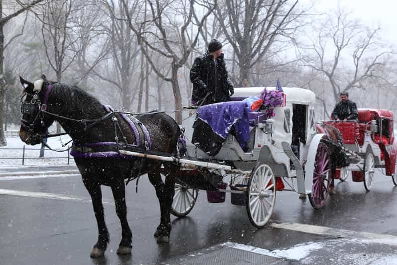 New York City: Private Horse Carriage Ride in Central Park | GetYourGuide
