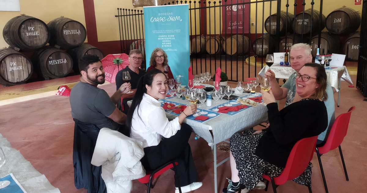 Visita Guiada e Degustação à Adega e Lagar com Tapas | GetYourGuide