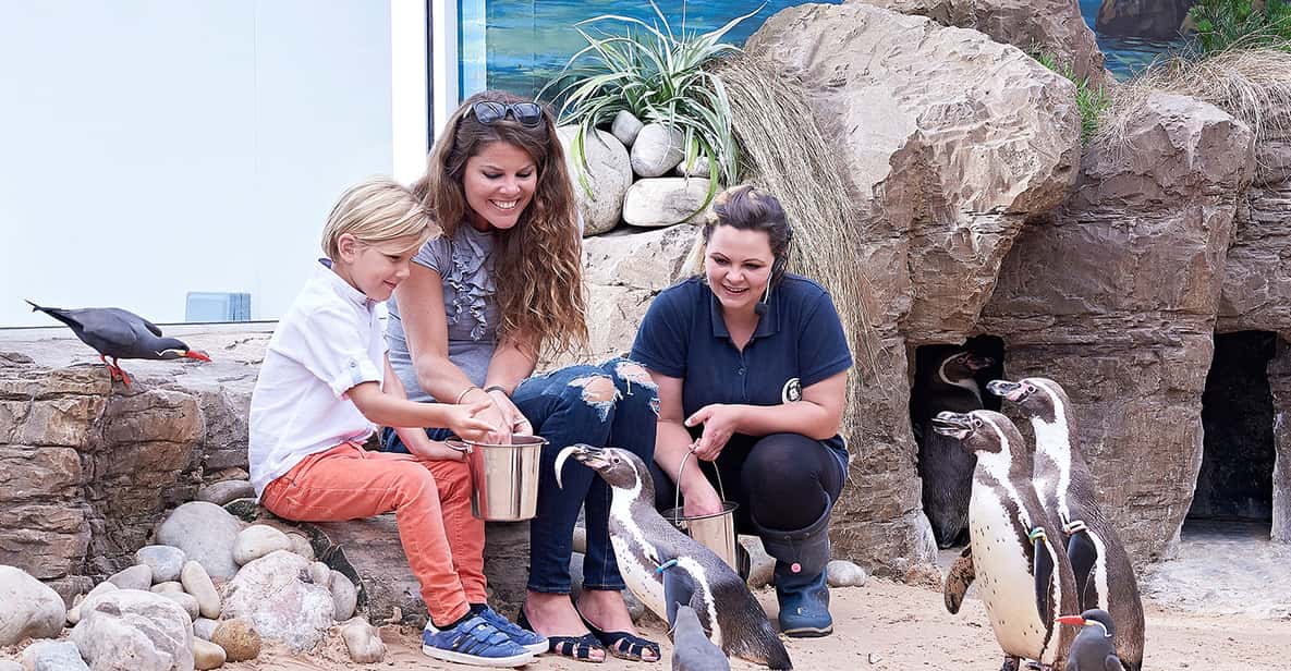 Bournemouth Oceanarium Ticket | GetYourGuide