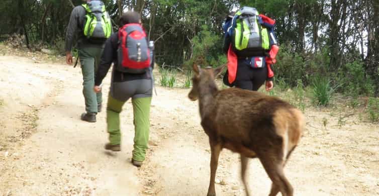 The BEST Castiadas, Sud Sardegna Tours and Things to Do in 2023 - FREE ...