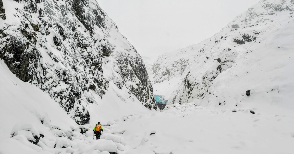 Seward, Alaska'dan Seward Kar Ayakkabılı Yürüyüş Macerası | GetYourGuide