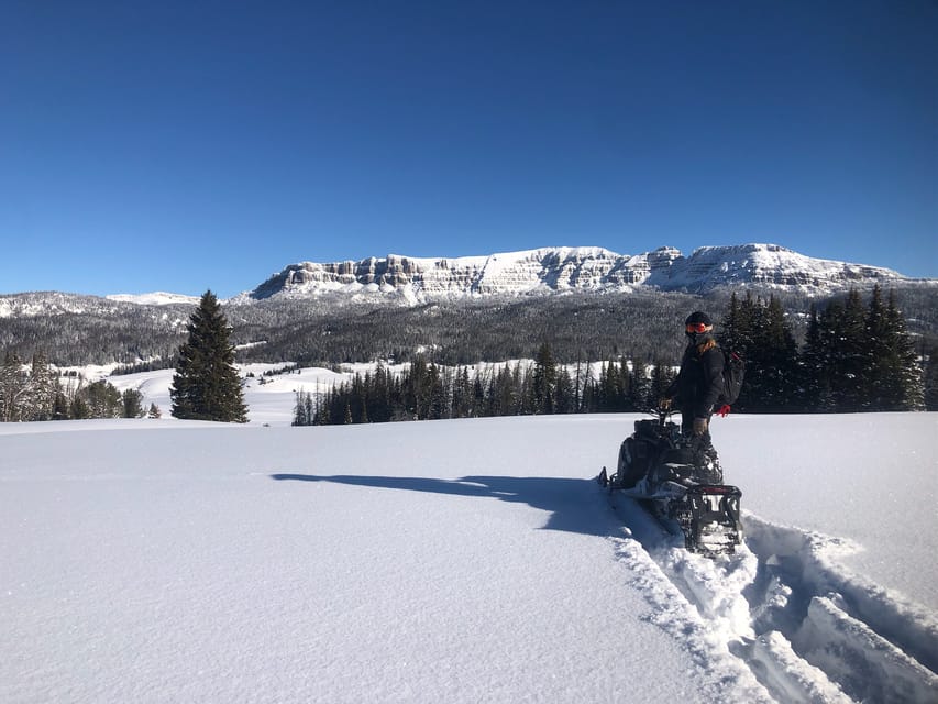 Jackson Hole: Turpin Meadow Snowmobile Tour | GetYourGuide