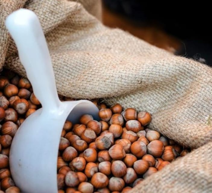 Castagnole delle Lanze: Wine Guided Walking Tour | GetYourGuide