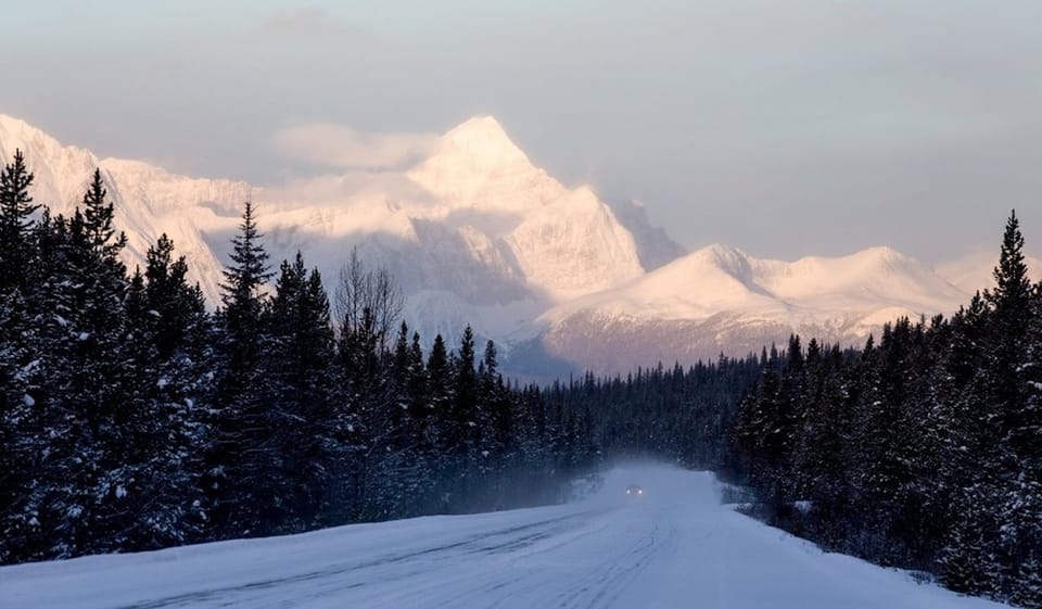 From Banff: Icefields Parkway & Abraham Lake Ice Bubbles | GetYourGuide