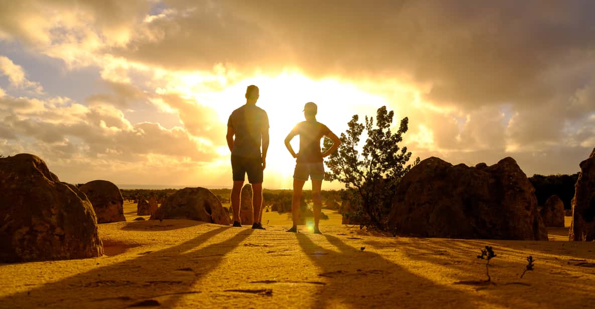 From Perth: Pinnacles Sunset and Stargazing Tour with Dinner | GetYourGuide