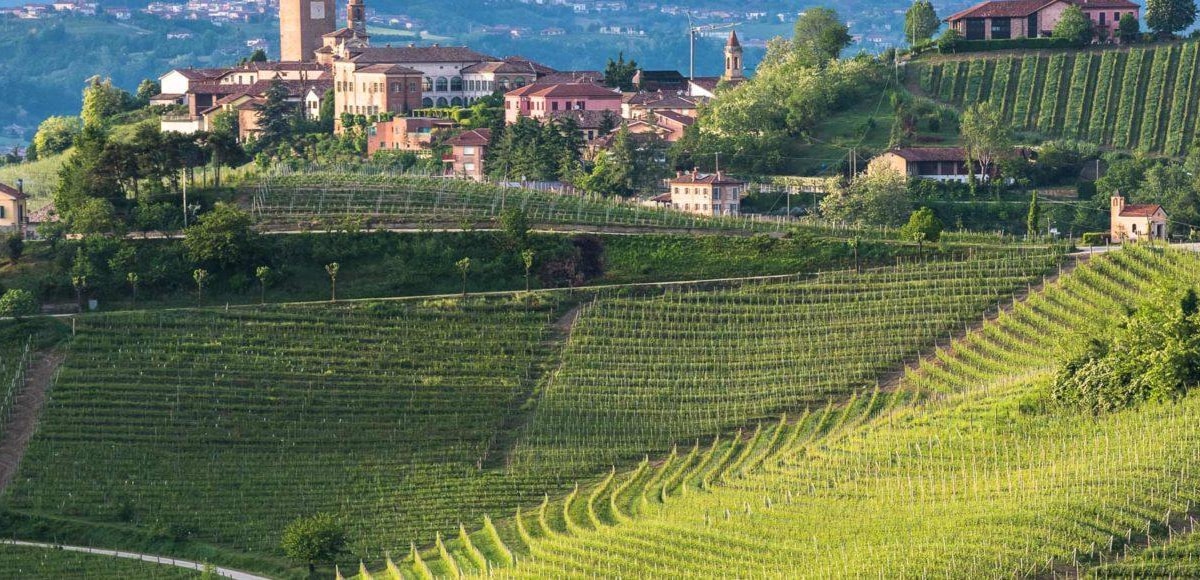 Barbaresco: e-bike-tour door wijngaarden in Piemonte met proeverijen ...