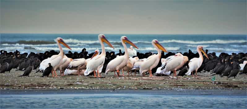 Bukarest: Duna-delta 5 napos túra: Középkori Erdély és Duna-delta ...
