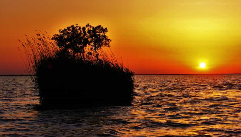 Bukarest: Duna-delta 5 napos túra: Középkori Erdély és Duna-delta ...