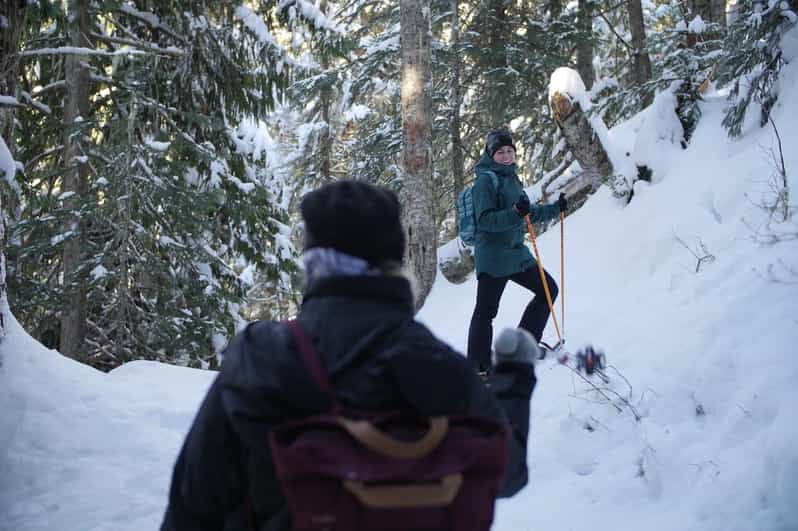 Whistler: Backcountry Snowshoeing Tour with Guide | GetYourGuide
