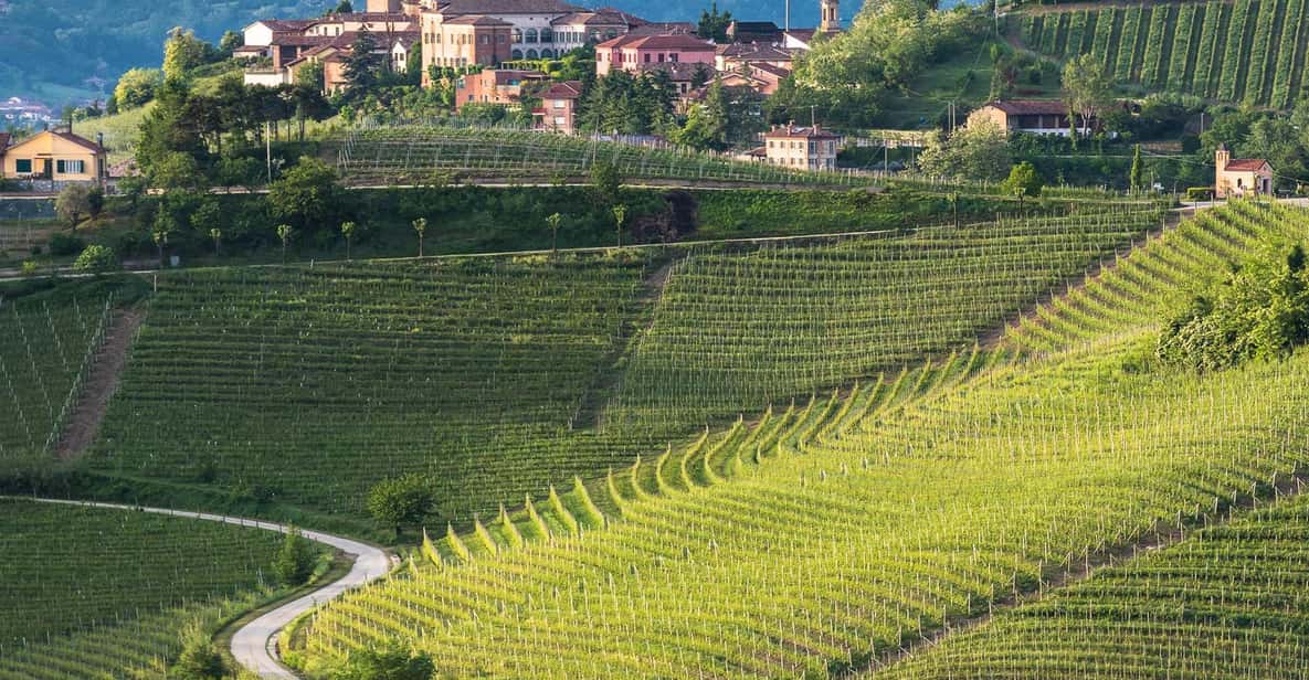 From Neive: Guided E-Bike Tour to Barbaresco and Treiso | GetYourGuide