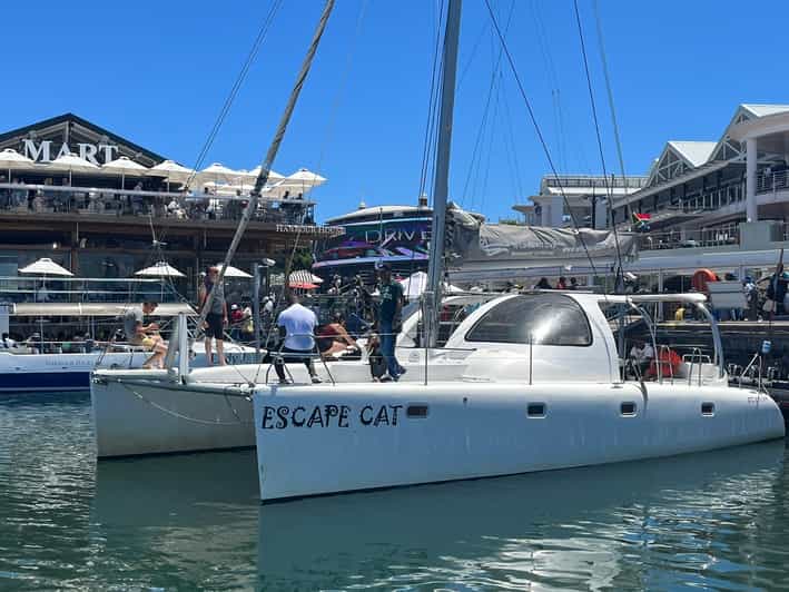 Cape Town: Sunset Cruise by Catamaran to Table Bay | GetYourGuide