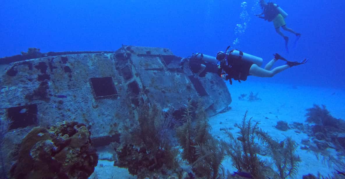 Double Dive for Certified Divers | GetYourGuide Double Dive for Certified Divers | GetYourGuide