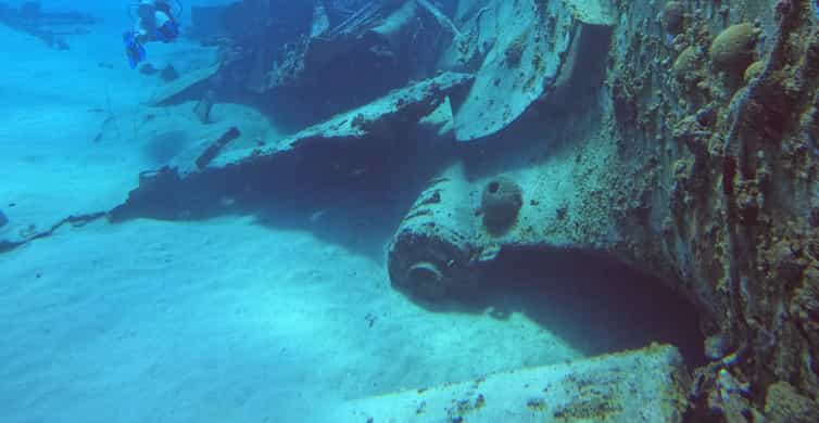 Double Dive for Certified Divers | GetYourGuide