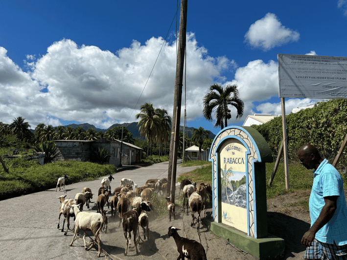 Owia Salt Pond and Black Point Tunnel Tour | GetYourGuide