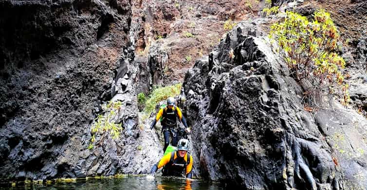 The BEST Los Carrizales Tours and Things to Do in 2024 - FREE ...