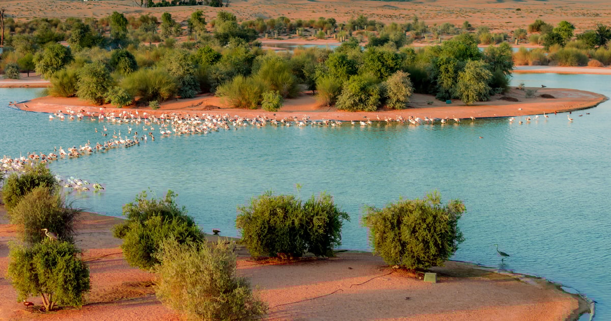 Dubai: Al Marmoom and Al Qudra Lakes Guided Tour with Dinner | GetYourGuide