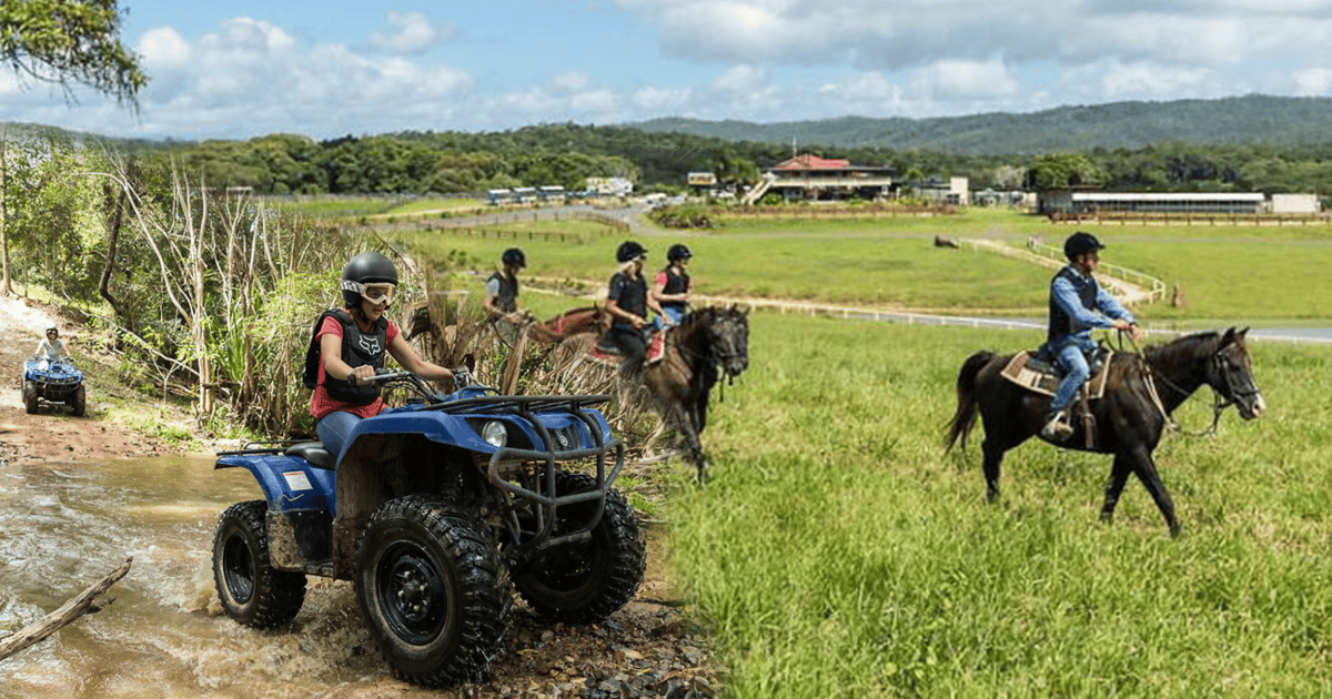 Cairns: Skyrail + Quad biking + Zoo + Kuranda Half-Day | GetYourGuide