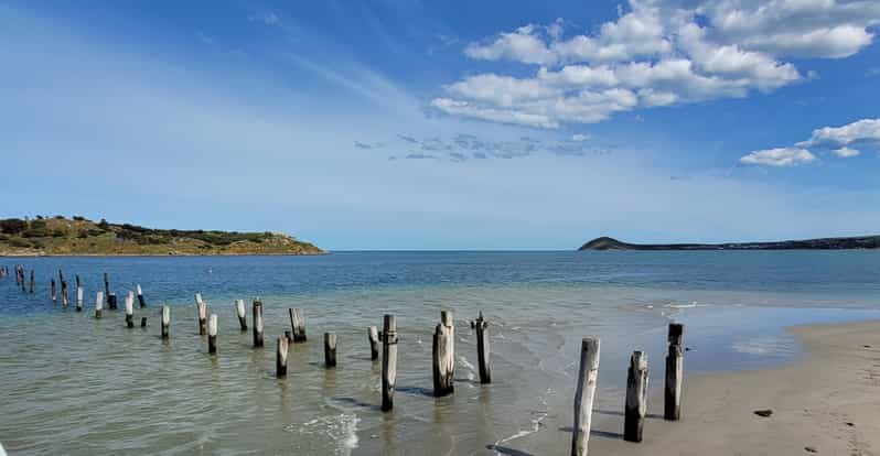 Discover Victor Harbor Guided Walking Tour | GetYourGuide
