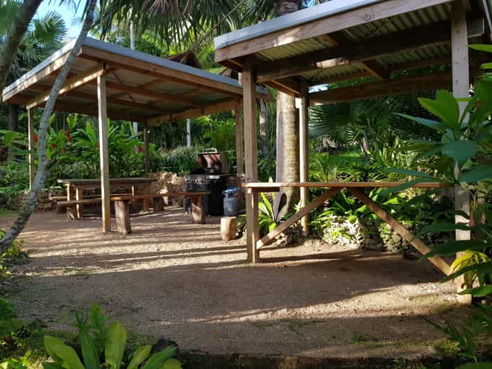 Efate: Eden on the River Cooking Experience | GetYourGuide