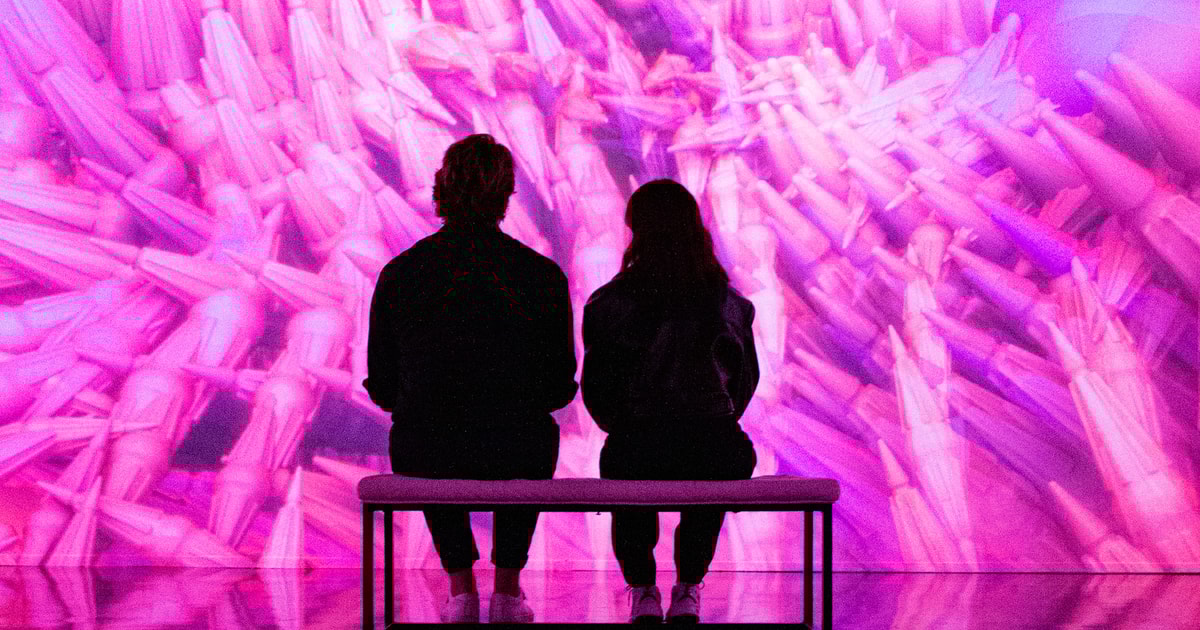 Miami: ARTECHOUSE Immersive Art Experience Entry Ticket | GetYourGuide