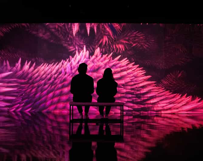 Miami: ARTECHOUSE Immersive Art Experience Entry Ticket | GetYourGuide