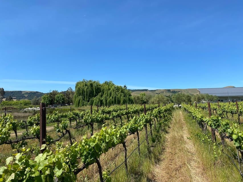 Create your own wine blend experience | GetYourGuide